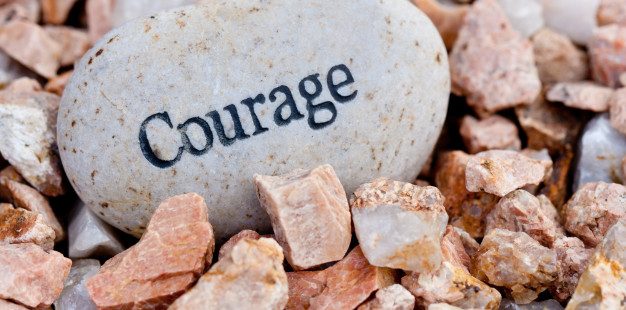 THE COURAGEOUS SQUIRREL | Transformative PowerTransformative Power THE COURAGEOUS SQUIRREL | Transformative PowerTransformative Power